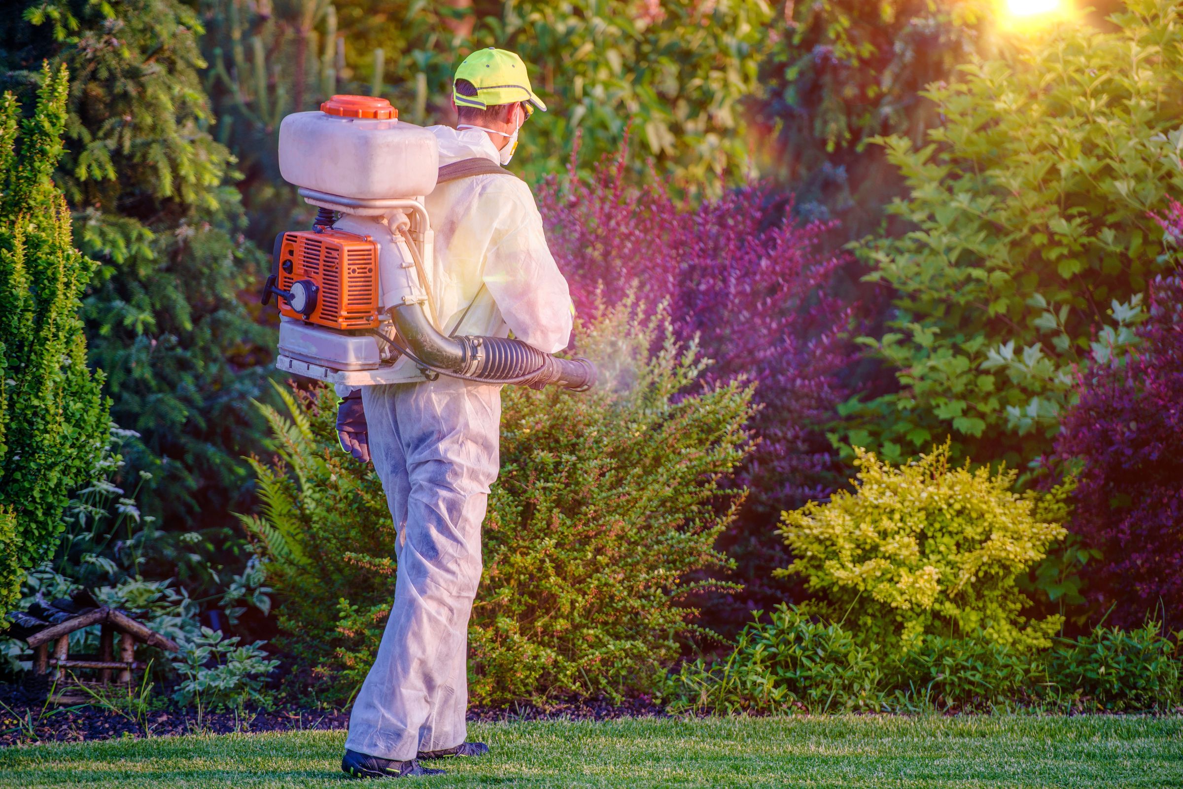 Types of Chemical Pest Control Products and Their Uses - Horizon Pest ...